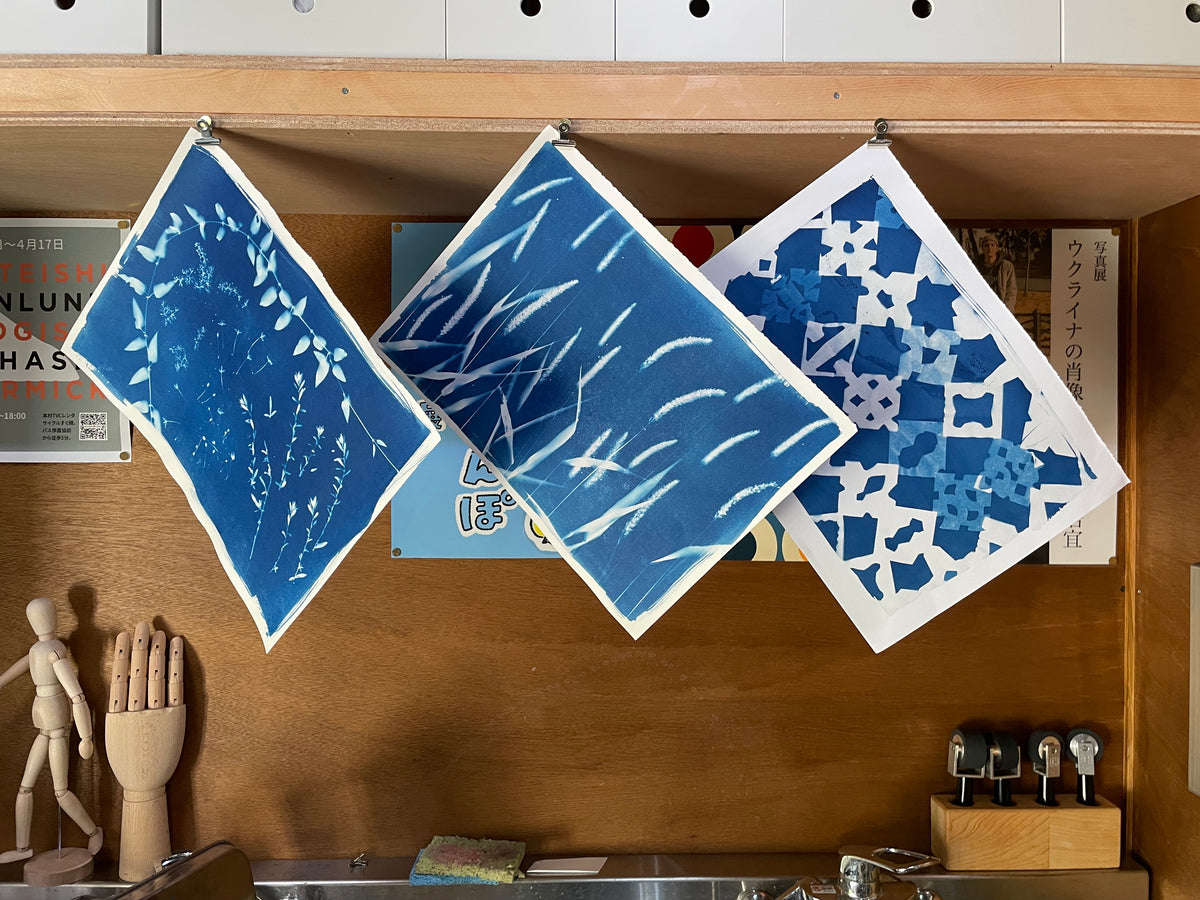 In the Studio: Making Cyanotypes! – Art Island Center アート島センター